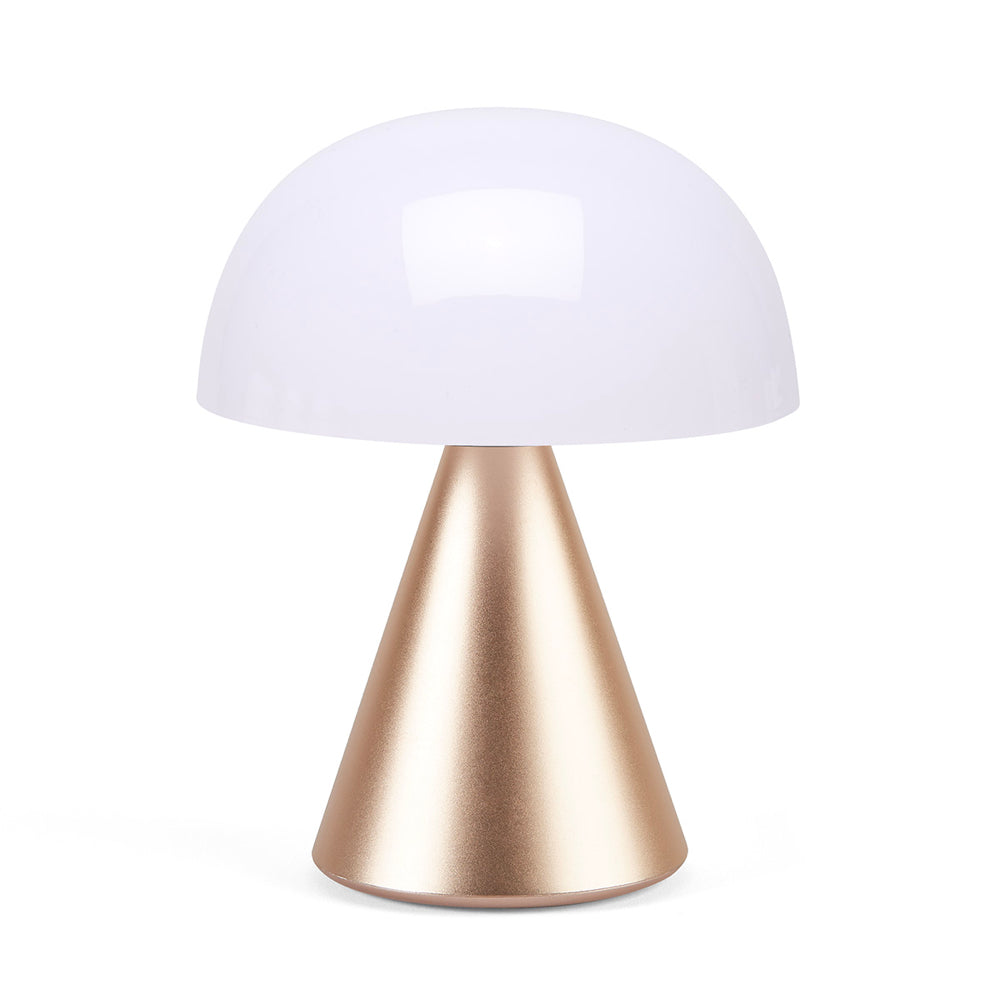 MINA L AUDIO | LIGHT GOLD – Museum of the Future Shop