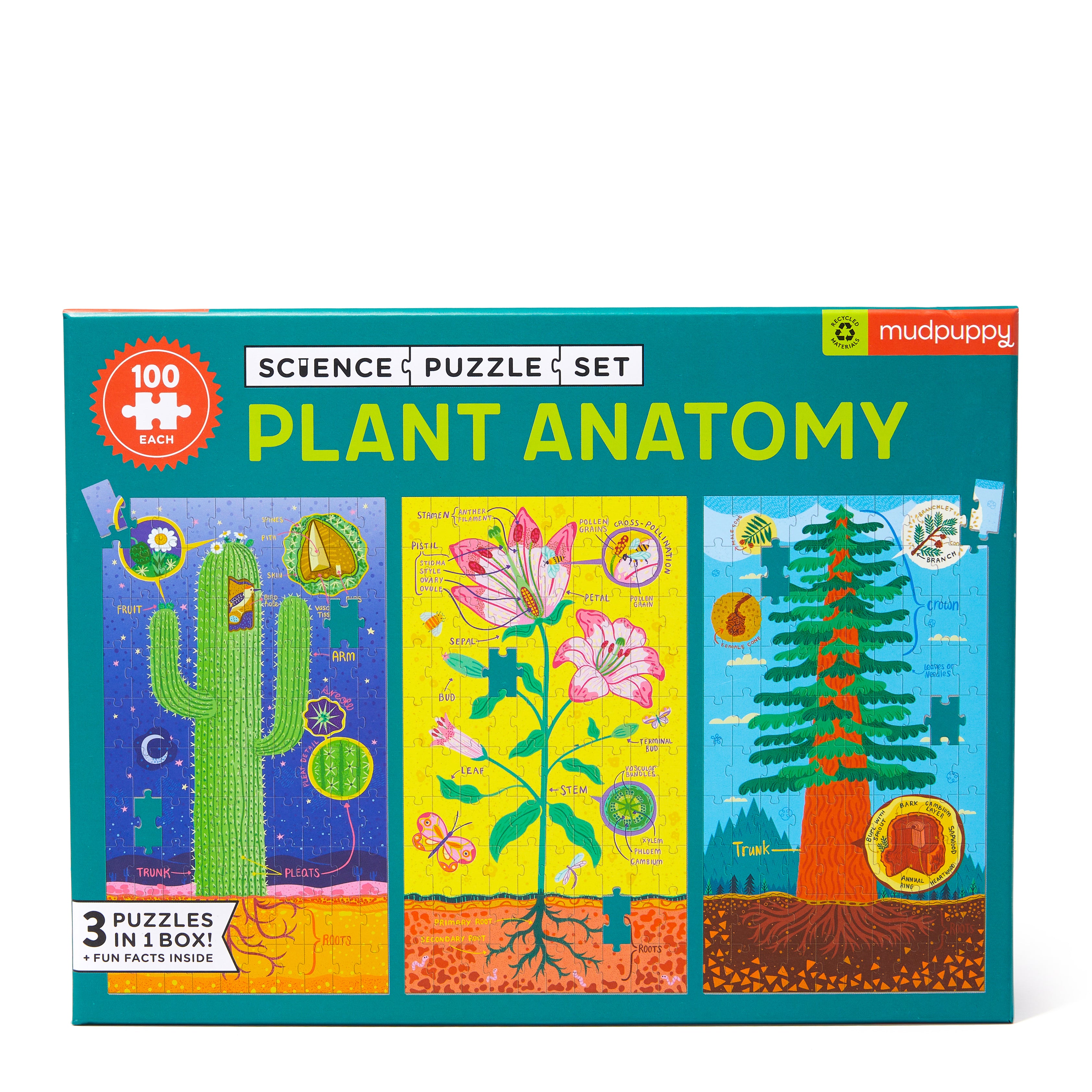 PLANT ANATOMY SCIENCE PUZZLE – Museum of the Future Shop